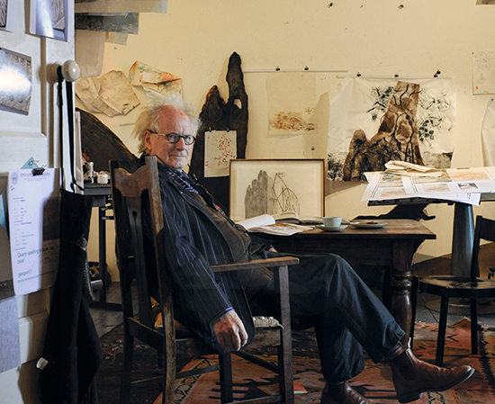 John Wolseley - Copyright Agency